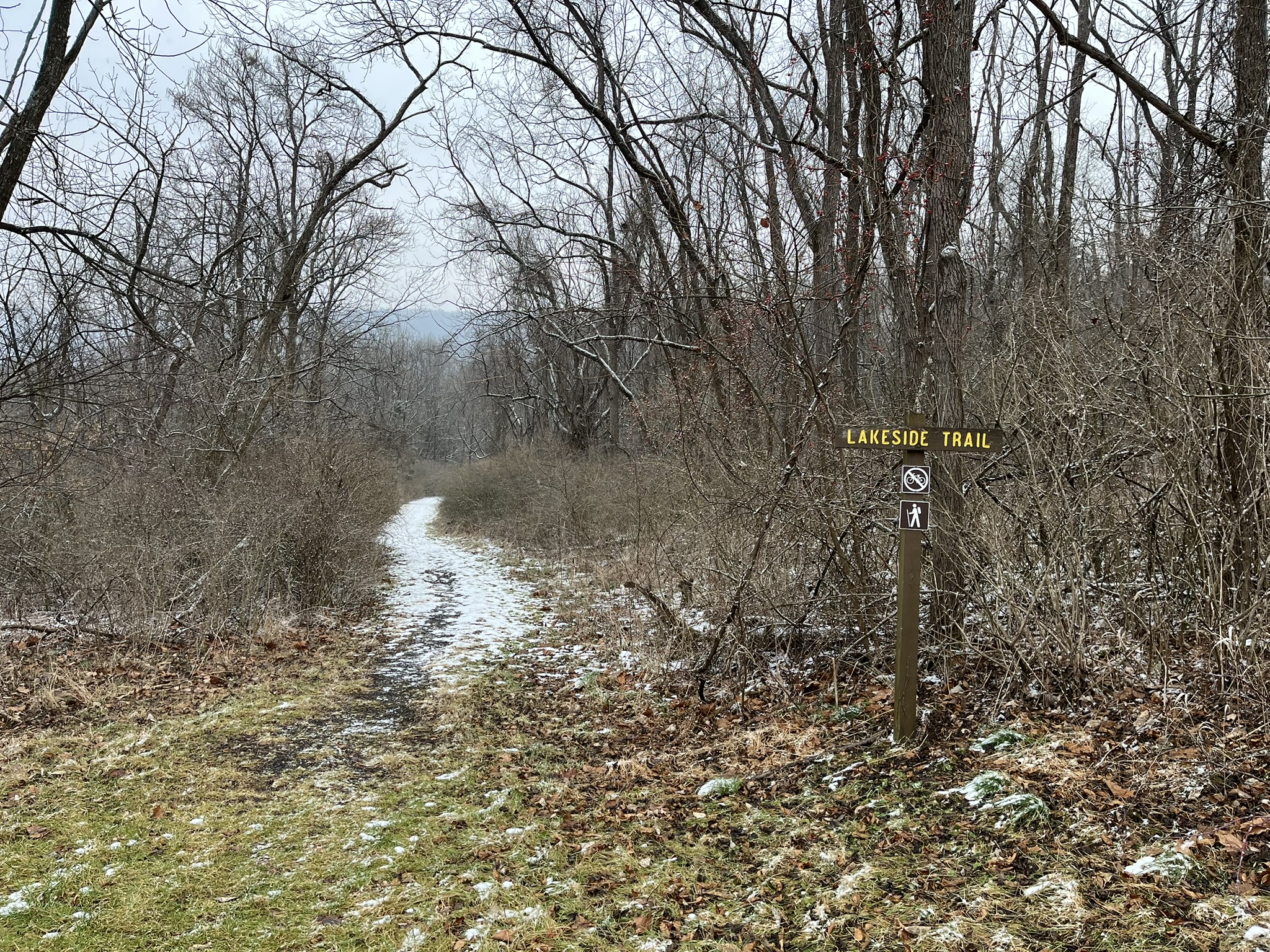 Green Linings – Autumn Hanley